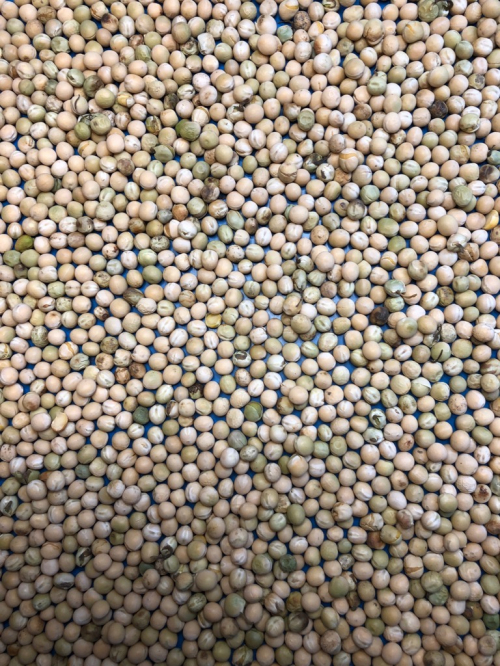 Offers | Agfinity Inc.